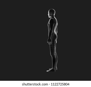 Side View Human Body Wireframe Model Stock Illustration 1122725804 ...