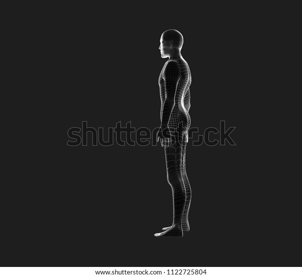 Side View Human Body Wireframe Model Stock Illustration 1122725804 ...