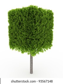462,914 Tree squares Images, Stock Photos & Vectors | Shutterstock