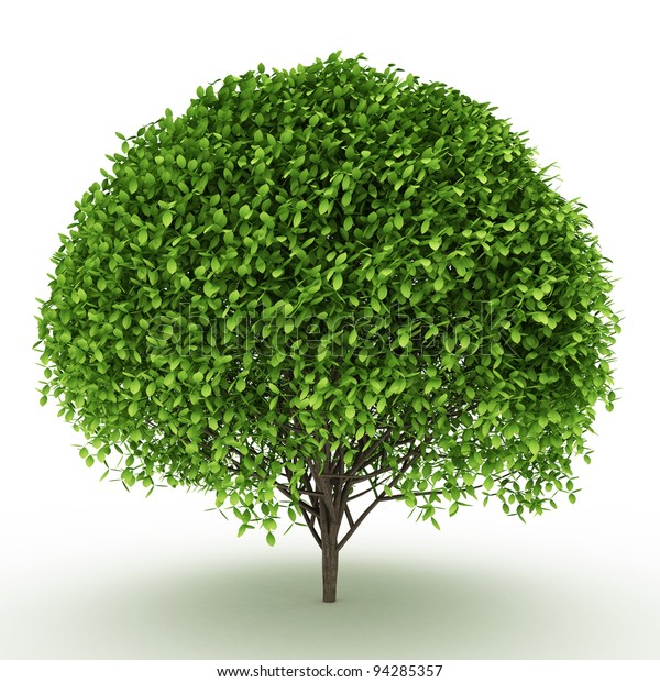 Side View Trimed 3d Bush Isolated Stock Illustration 94285357