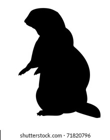 Silhouette Gopher On White Background Stock Illustration 71820796 ...