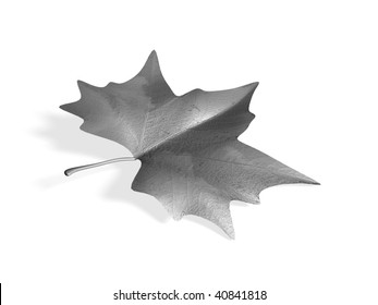 4,509 Silver maple leaf Images, Stock Photos & Vectors | Shutterstock