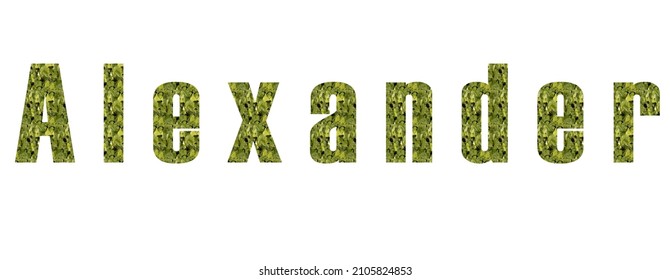 Simple Text Name Design Alexander Stock Illustration 2105824853