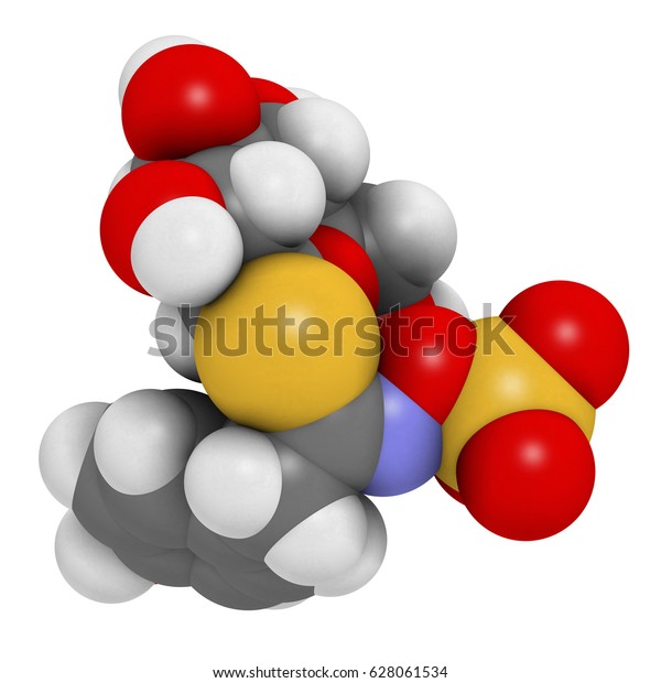 Sinalbin Glucosinolate Molecule Present Seeds White Stock Illustration ...
