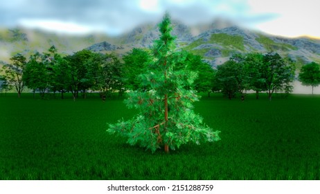 Single Pine Tree Standing Alone Front Stock Illustration 2151288759 ...