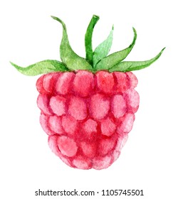 Single Raspberry Isolated On White Background Stock Illustration ...