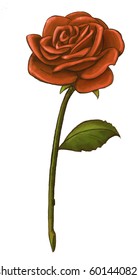 Single Red Rose Stock Illustration 601440821 | Shutterstock