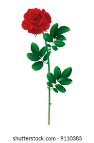 Single Red Rose Stock Illustration 9110383 | Shutterstock