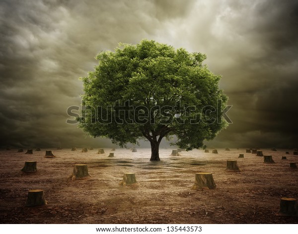 44,529 imágenes de Desolate tree - Imágenes, fotos y vectores de stock ...