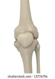 38,370 Anatomy back bone Images, Stock Photos & Vectors | Shutterstock