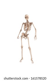 Cheerful Skeleton Dancing Pose Halloween Other Stock Vector (Royalty ...