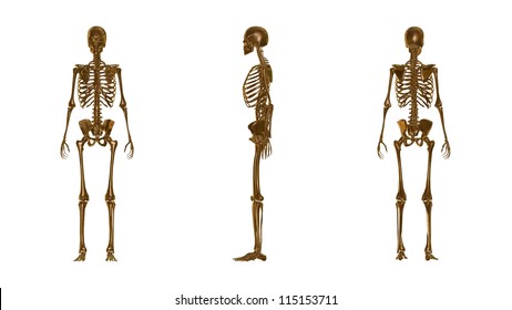 Body Alignment 3d Illustration Bad Body Stock Illustration 2124159176