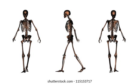 Vector Image Skeleton Silhouette Shuffle Pose Stock Vector (Royalty ...