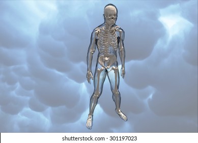 Skeleton Stock Illustration 301197065 | Shutterstock