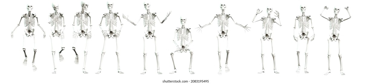 875 Human skeleton moving Images, Stock Photos & Vectors | Shutterstock