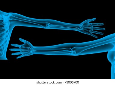 Skeleton Arm Xray Render Stock Illustration 73006900 | Shutterstock