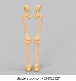 Human Anatomy Dna Stock Illustration 224692972 | Shutterstock