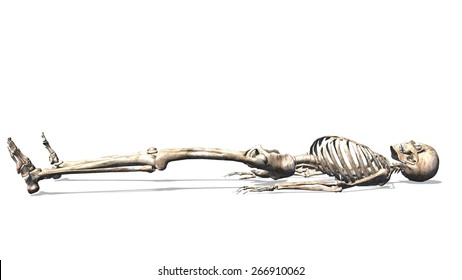 Skeleton Lying Separated On White Background Stock Illustration ...