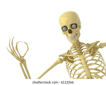 Human Skeleton Model Medical Anatomy ScienceẢnh có sẵn1700336542 ...