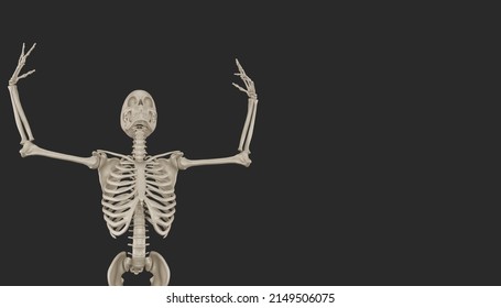 Skeleton Posing 3d Render Illustration Stock Illustration 2149506075 ...