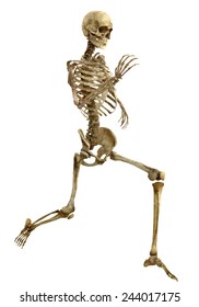 2,317 Skeleton jumping Images, Stock Photos & Vectors | Shutterstock