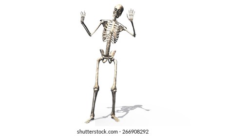 151,497 Human skeleton isolated Images, Stock Photos & Vectors ...