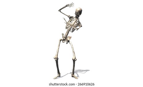 Skeleton Separated On White Background Stock Illustration 266910626 ...