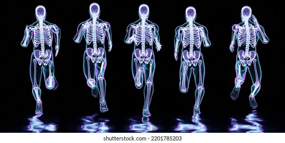 1,384 Full Spine Anatomy Images, Stock Photos & Vectors | Shutterstock