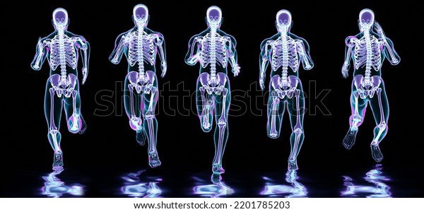 Skeleton System Running Man Bone Anatomy Stock Illustration 2201785203 ...