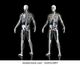Ilustrasi Stok Human Skeleton Transparent Body 3d Render 1434815570 ...