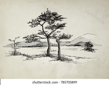 7,785 Alpine trees line Images, Stock Photos & Vectors | Shutterstock