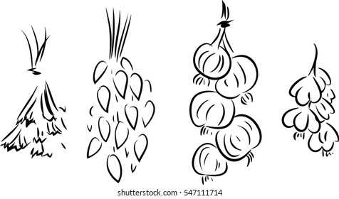 Sketch Rootcrops Stock Vector (Royalty Free) 511457554 | Shutterstock