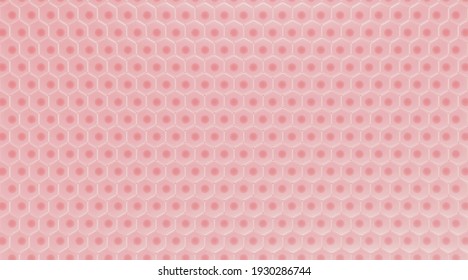 430 Spotless Skin Images, Stock Photos & Vectors | Shutterstock