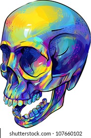 Skull Stock Illustration 107660102 | Shutterstock