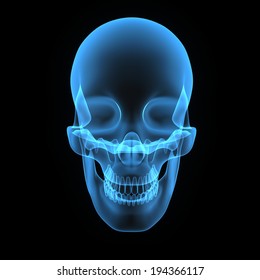 Skull Stock Illustration 194366117 | Shutterstock