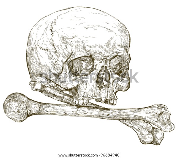 Skull Crossbones Detailed Drawing Bitmap Copy Stock Illustration ...