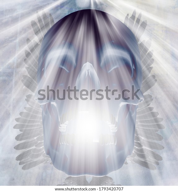 Skull Holy Light 3d Rendering Stock Illustration 1793420707 | Shutterstock