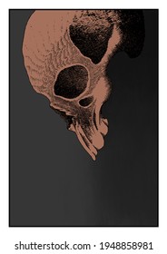 Skull Rendered Hatching Cross Hatching Colored Stock Illustration ...