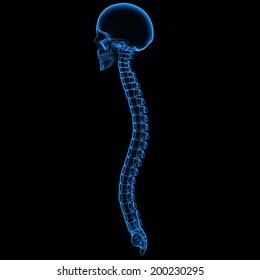 Skull Ribs Stock Illustration 200230295 | Shutterstock