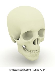 Skull Shadow Stock Illustration 18537754 | Shutterstock