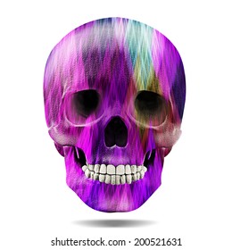 Skull Texture White Background Stock Illustration 200521631 | Shutterstock
