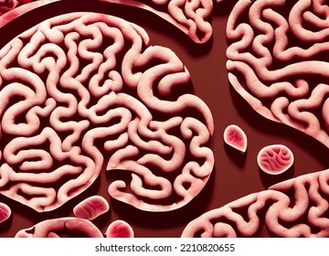 2,066 Brain Slice Images, Stock Photos & Vectors | Shutterstock