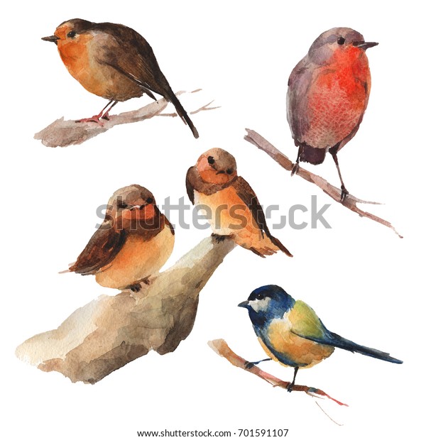 Small Birds Set Stock Illustration 701591107