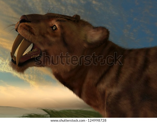 Smilodon Cat Sabertooth Cat Called Smilodon Stock Illustration ...