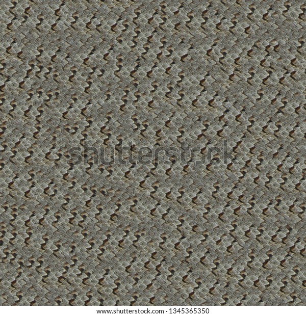 Snake Print Seamless Pattern Stock Illustration 1345365350 | Shutterstock