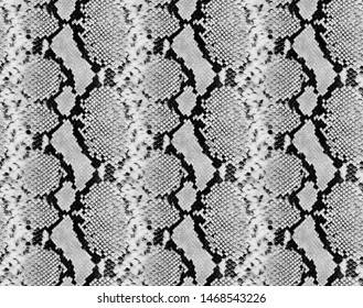 Snake Print Seamless Pattern Design Stock Illustration 1468543226