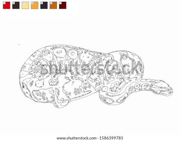 Snake Python Paint Color By Addition Stock Illustration 1586399785 ...