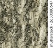 182,067 Cheetah Print Royalty-Free Images, Stock Photos & Pictures ...