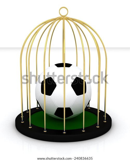 Soccer Ball Cage Stock Illustration 240836635 | Shutterstock
