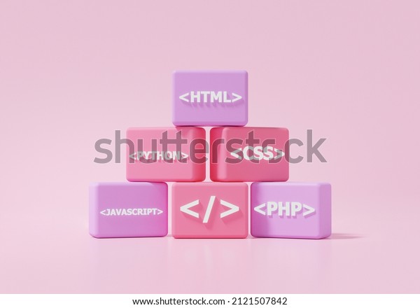 Software Developer Concept Coding Language Development Stock Illustration 2121507842 Shutterstock